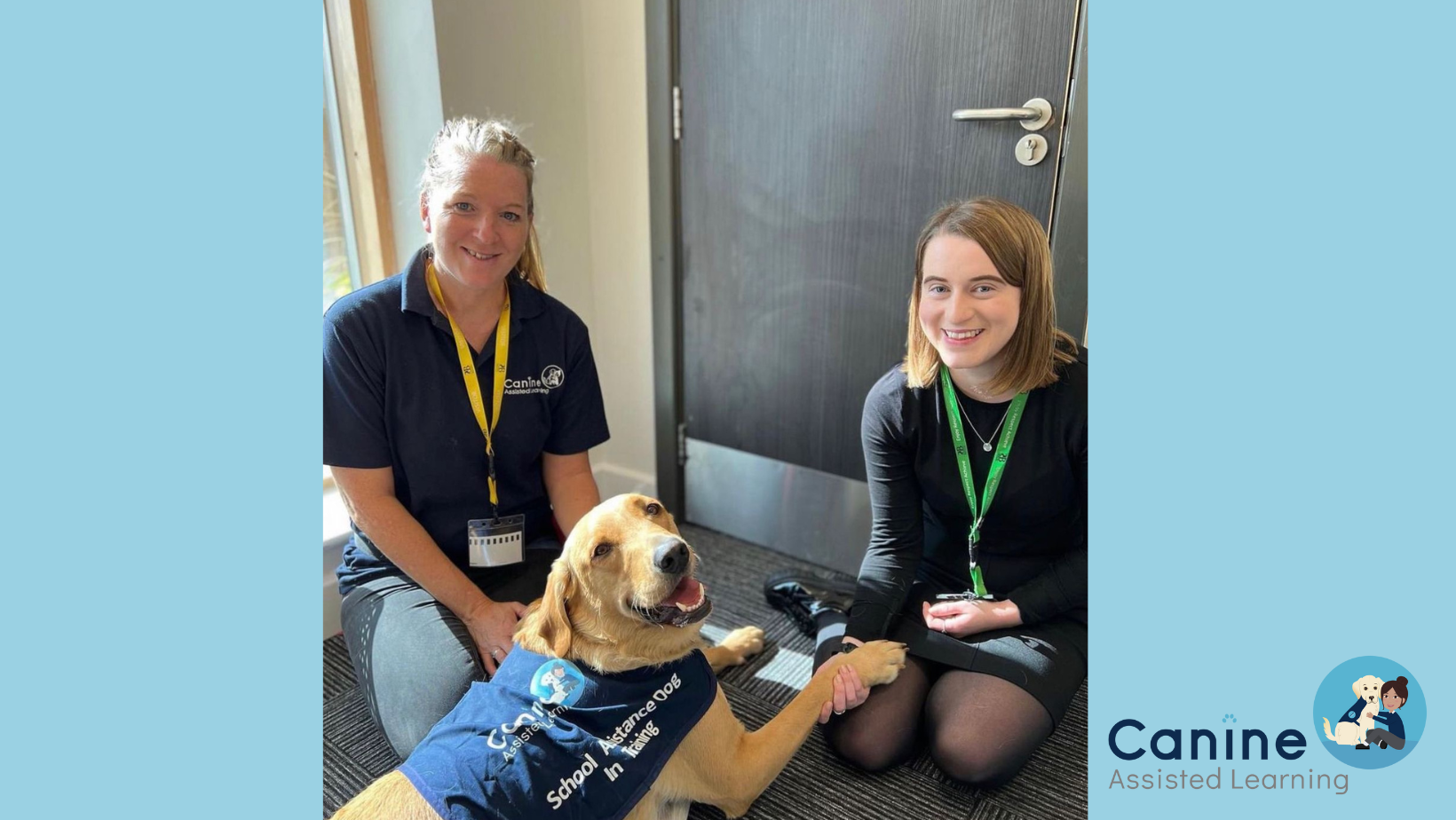 Why All School Dogs Should Have Regular in Person Assessments - Canine ...